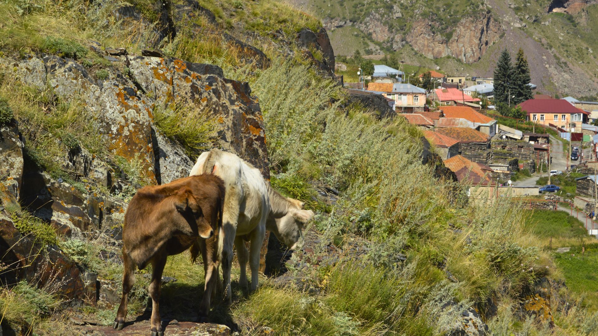 Coisas que você precisa saber sobre o Cáucaso antes de viajar - Prepare ...